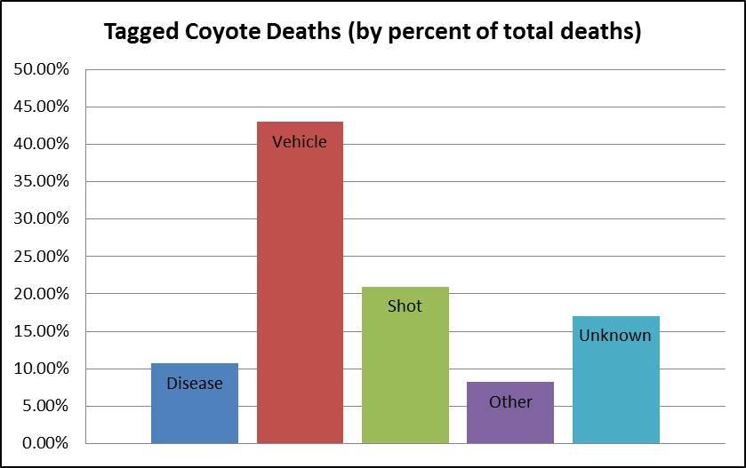 Coyote Population