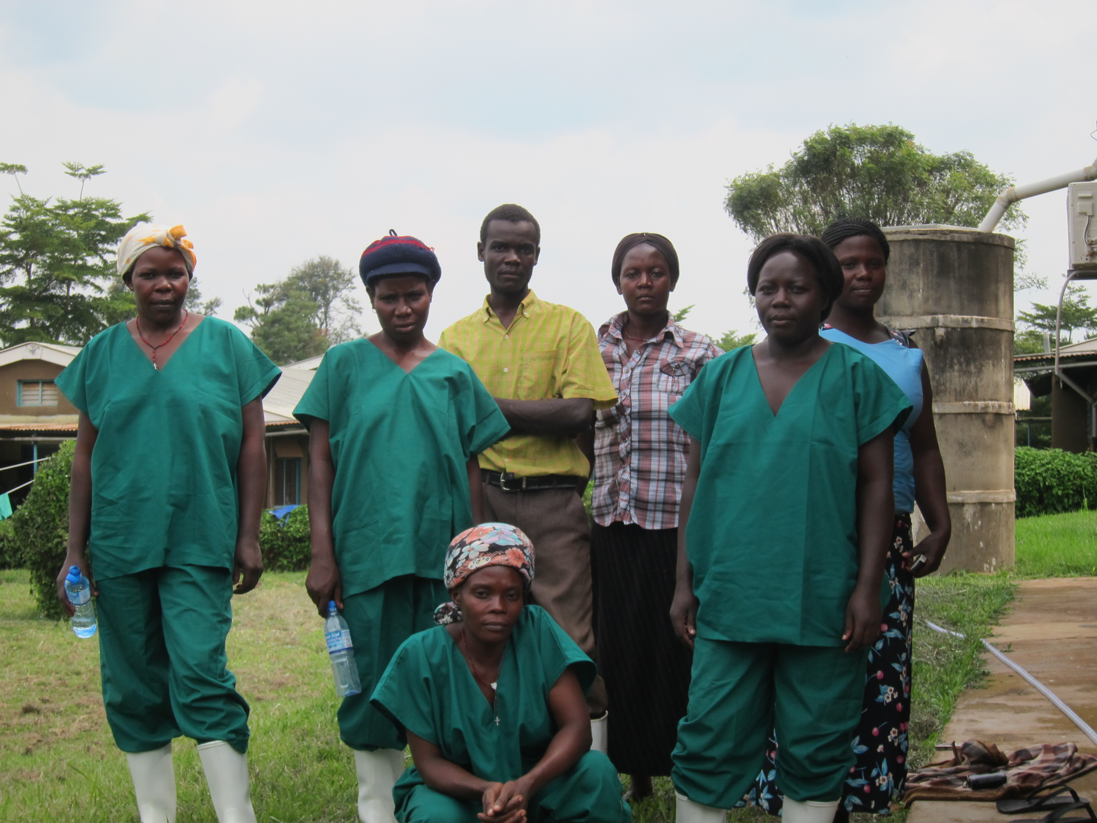 Minorities in the Workforce