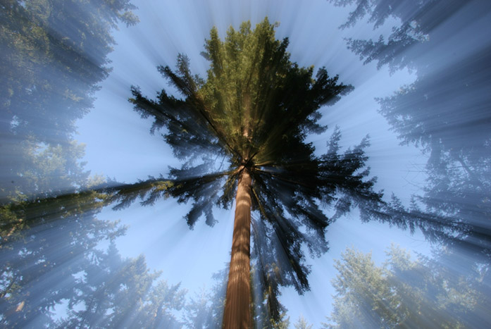 Creative Image Making Techniques