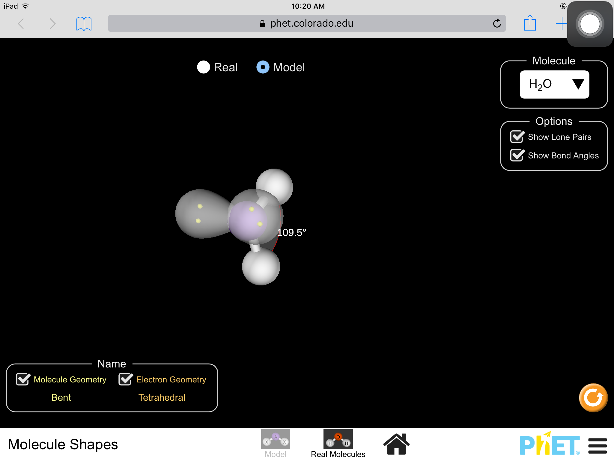 Molecular Shapes Simulation