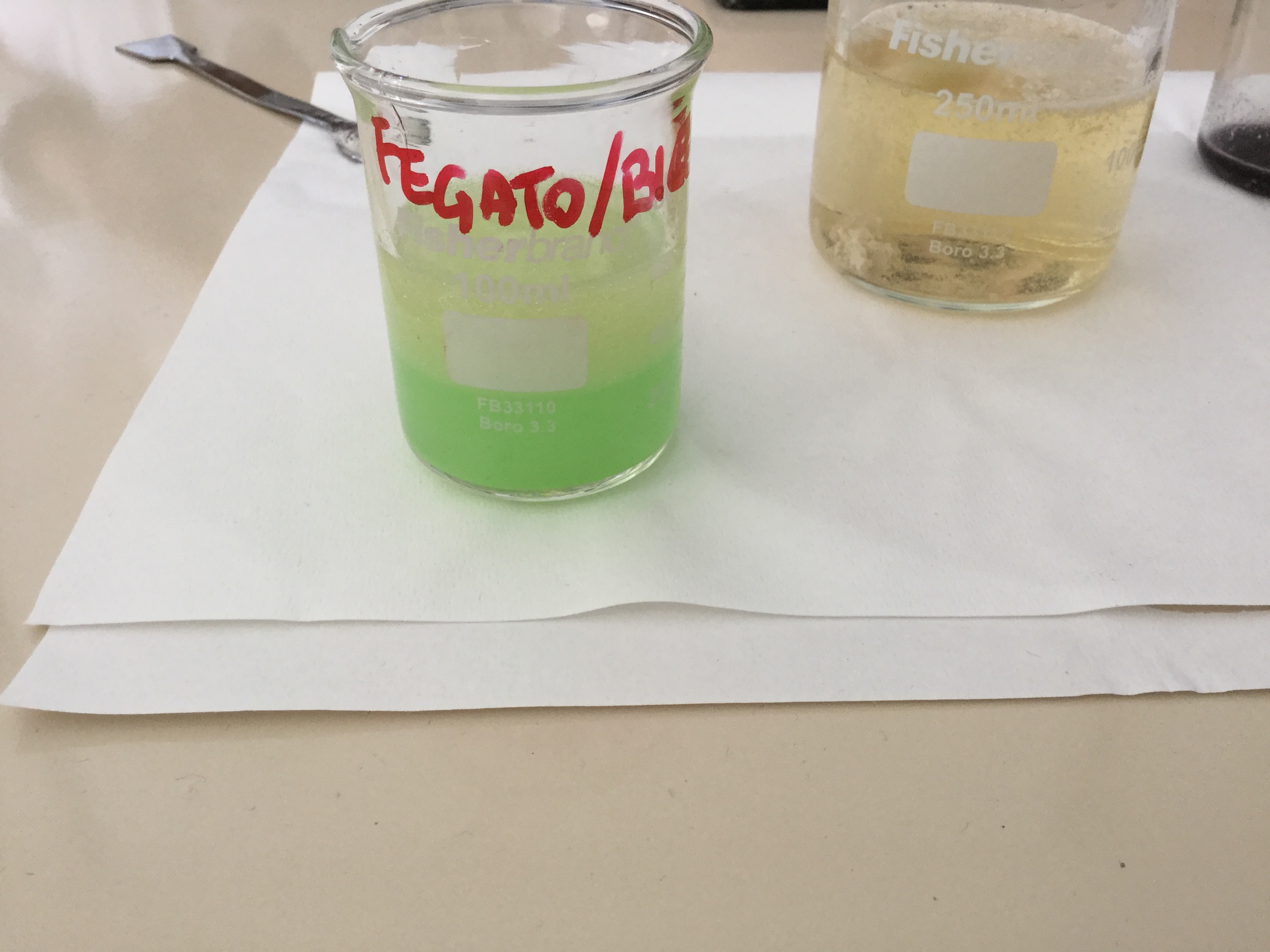 Laboratorio di scienze