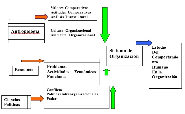 El Comportamiento Humano y las Ciencias