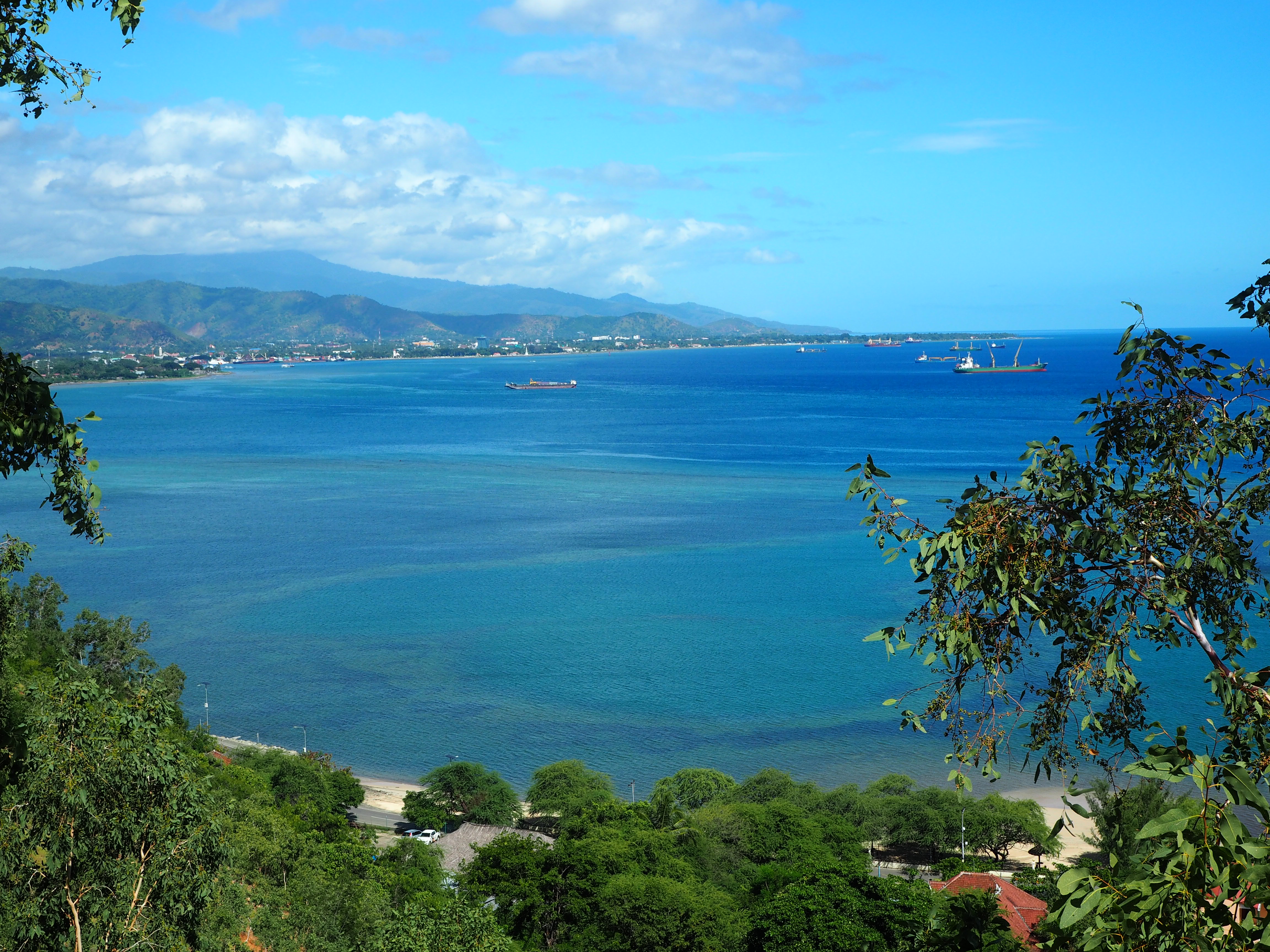 A Visit to Los Palos