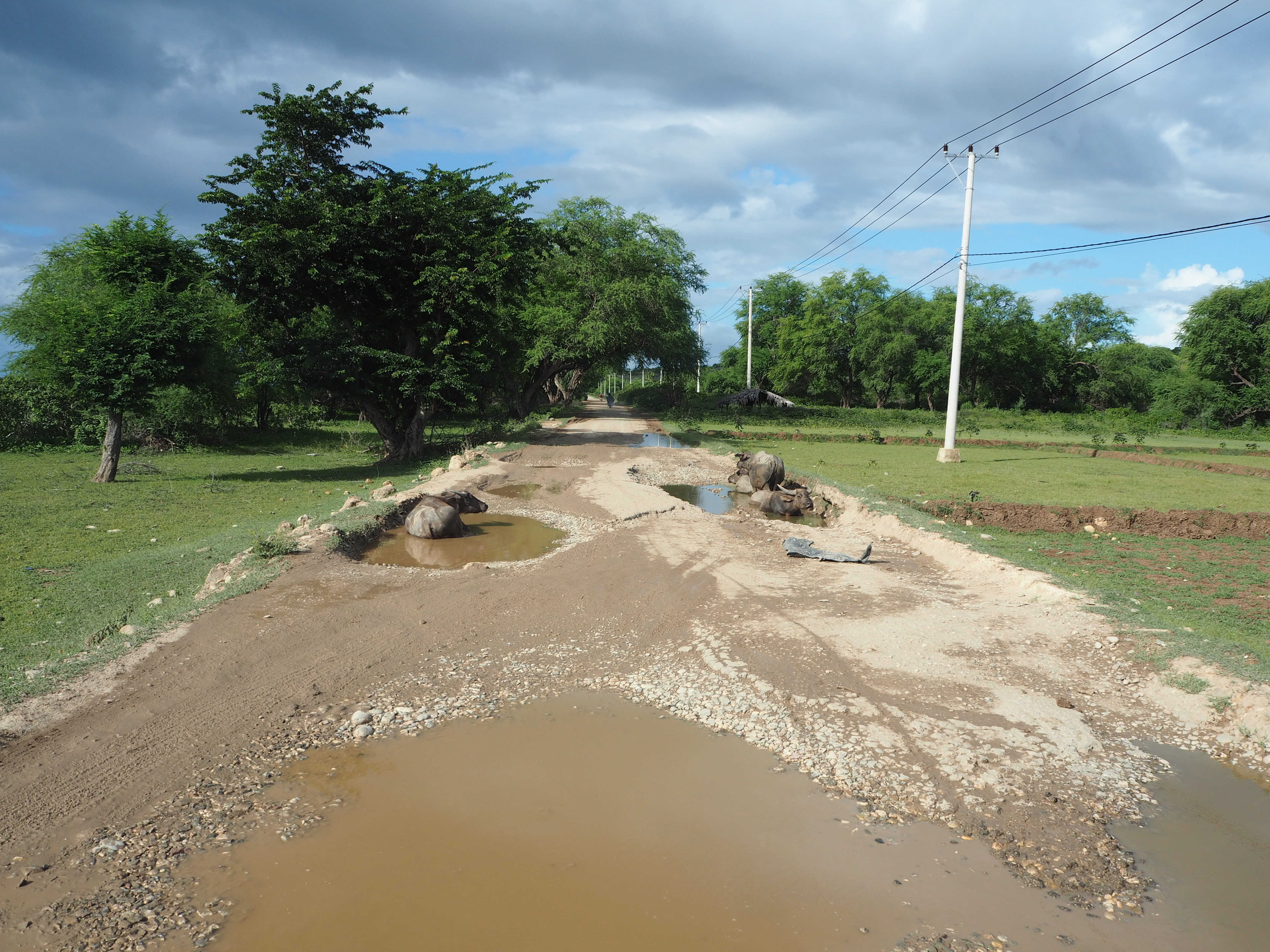 A Visit to Los Palos