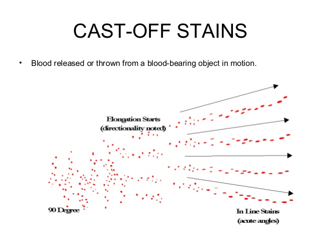 Blood Splatter Pattern