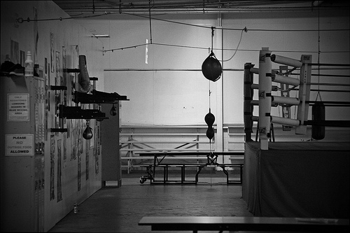 Boxing and Newton's Three Laws of Motion