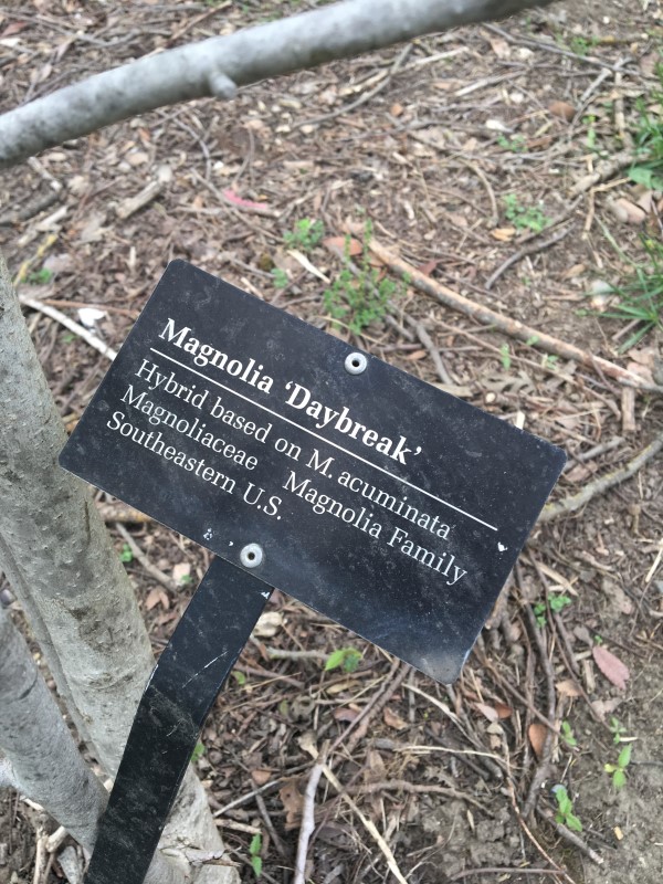 Sacramento State Arboretum