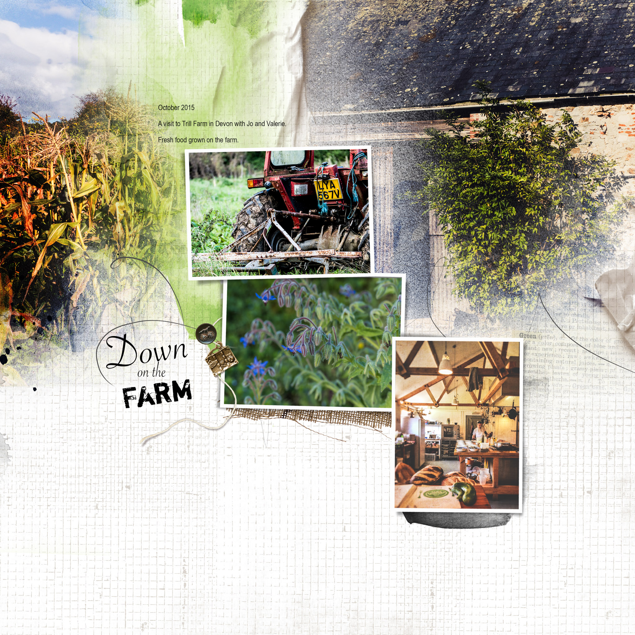 A Visit to Trill Farm