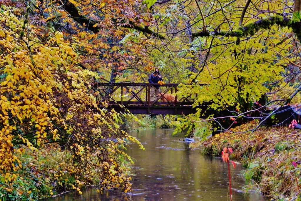Leverich Park Eagle Project