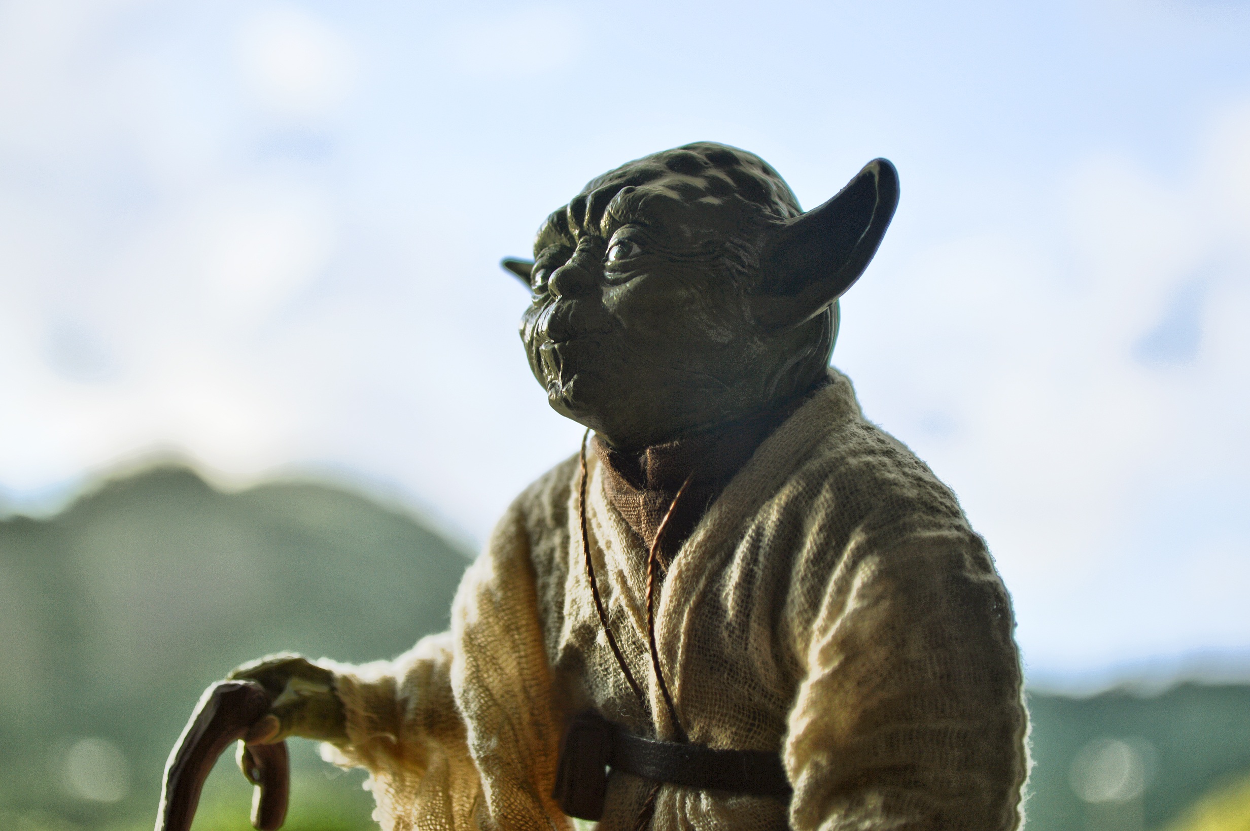 Yoda's Cane