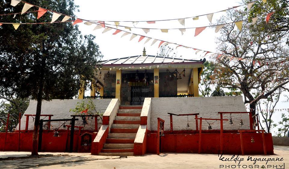 SALYAN