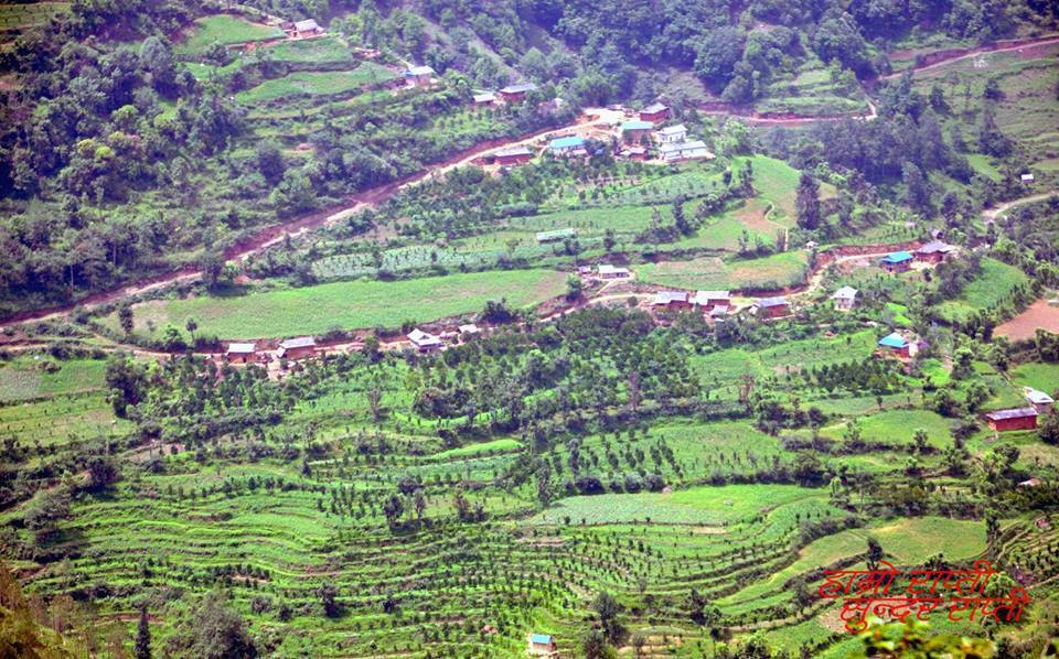 SALYAN
