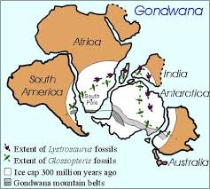 Ordovician Era