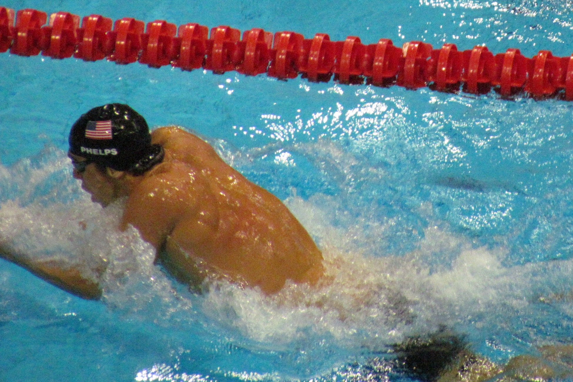 Newton's laws of motion: SWIMMING