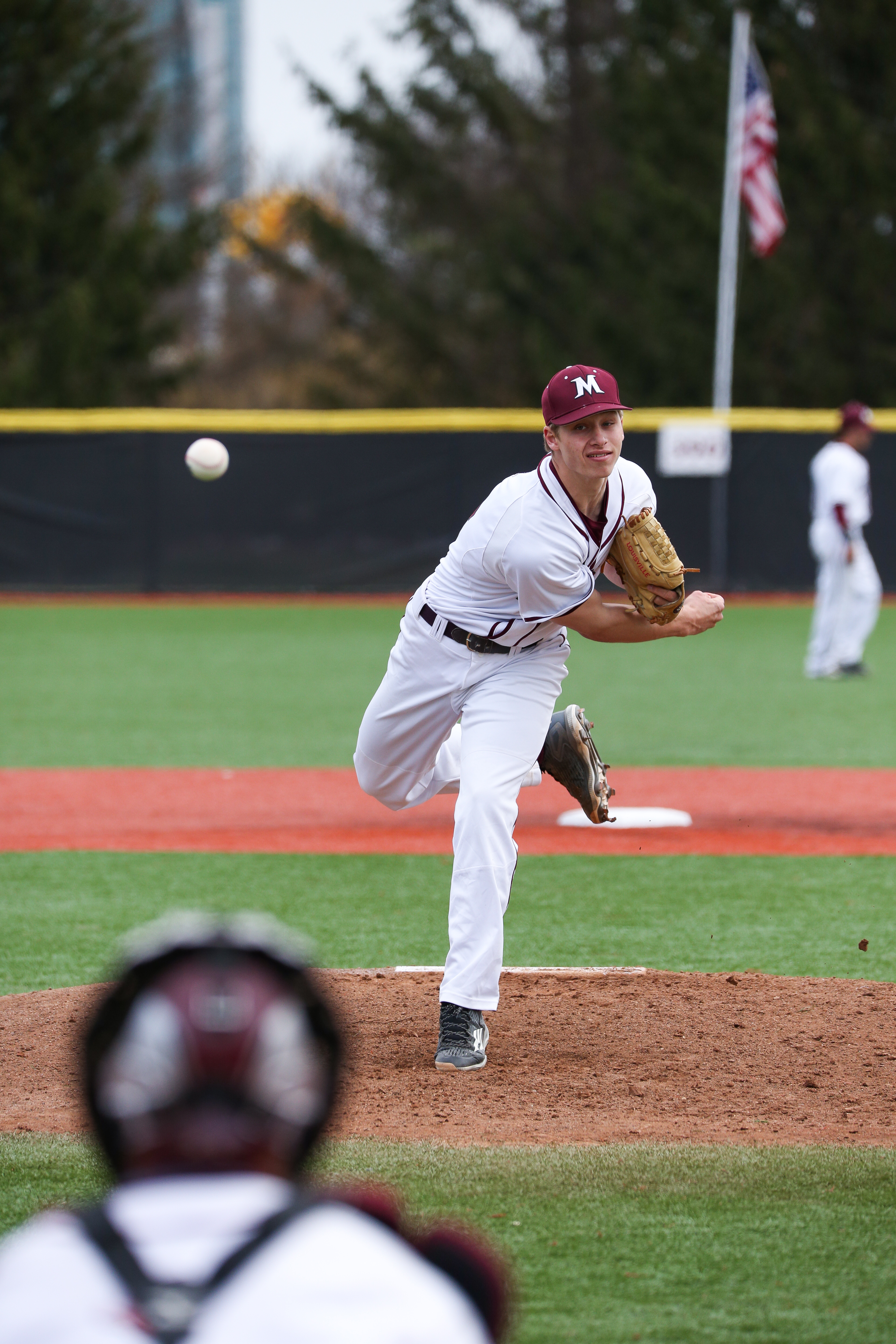 2017 Baseball Preview