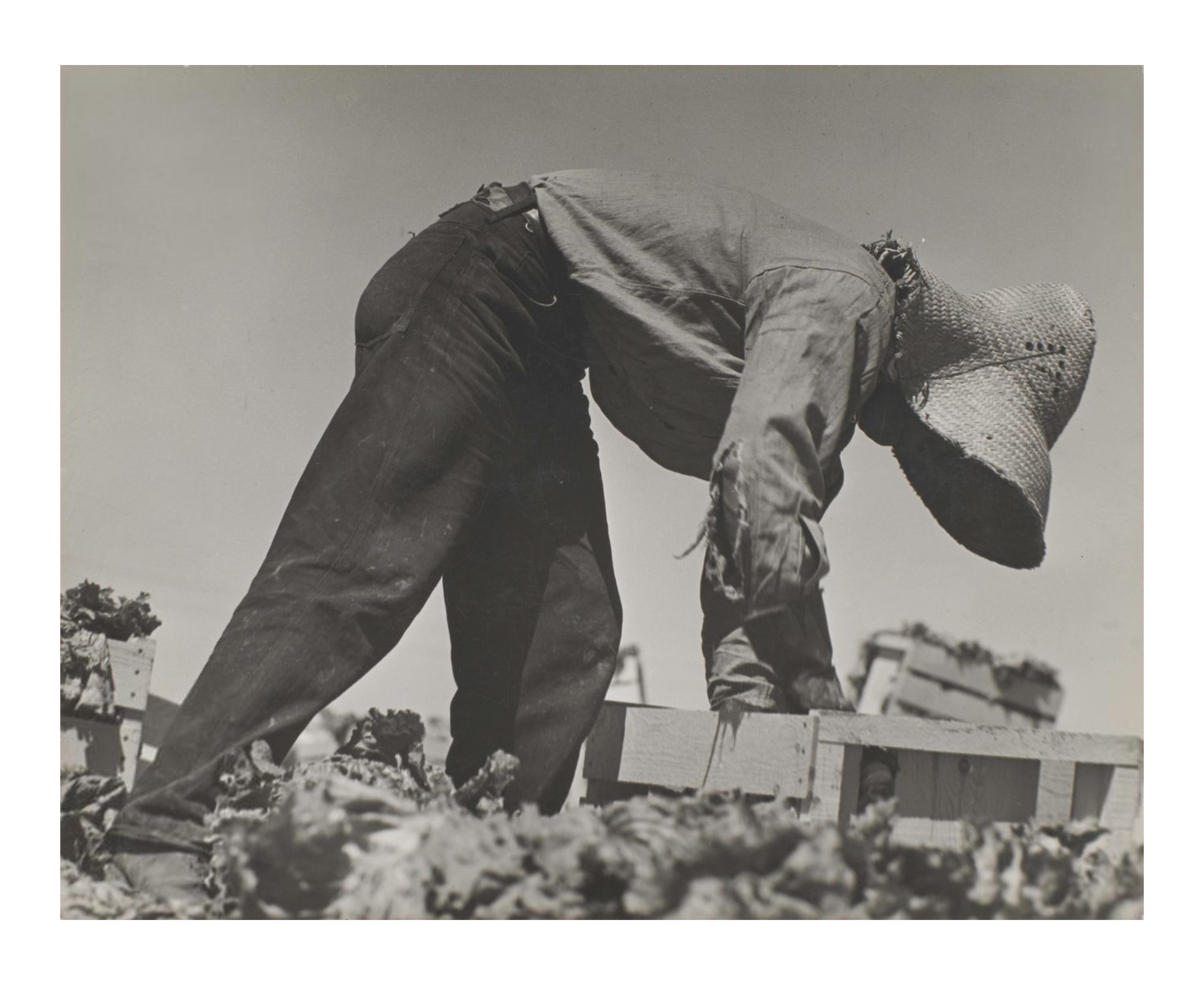 STRIFE OF THE WORKING CLASS.