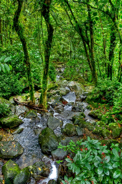 El Yunque