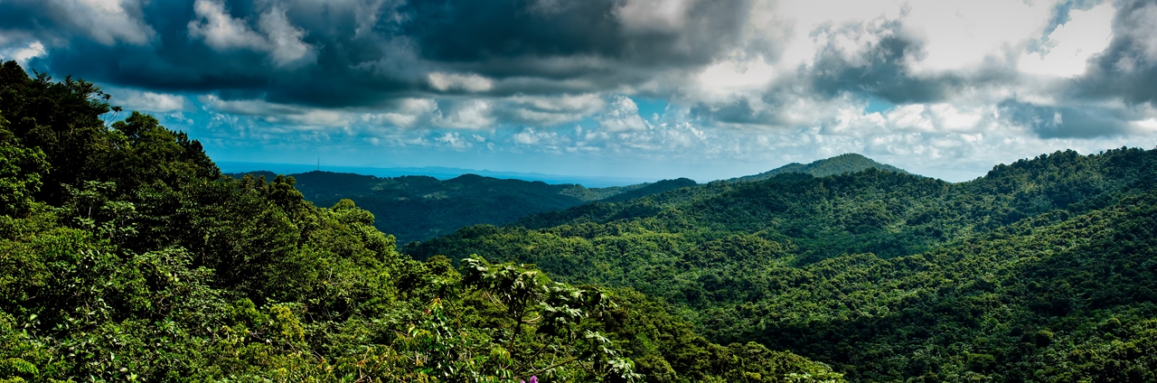El Yunque