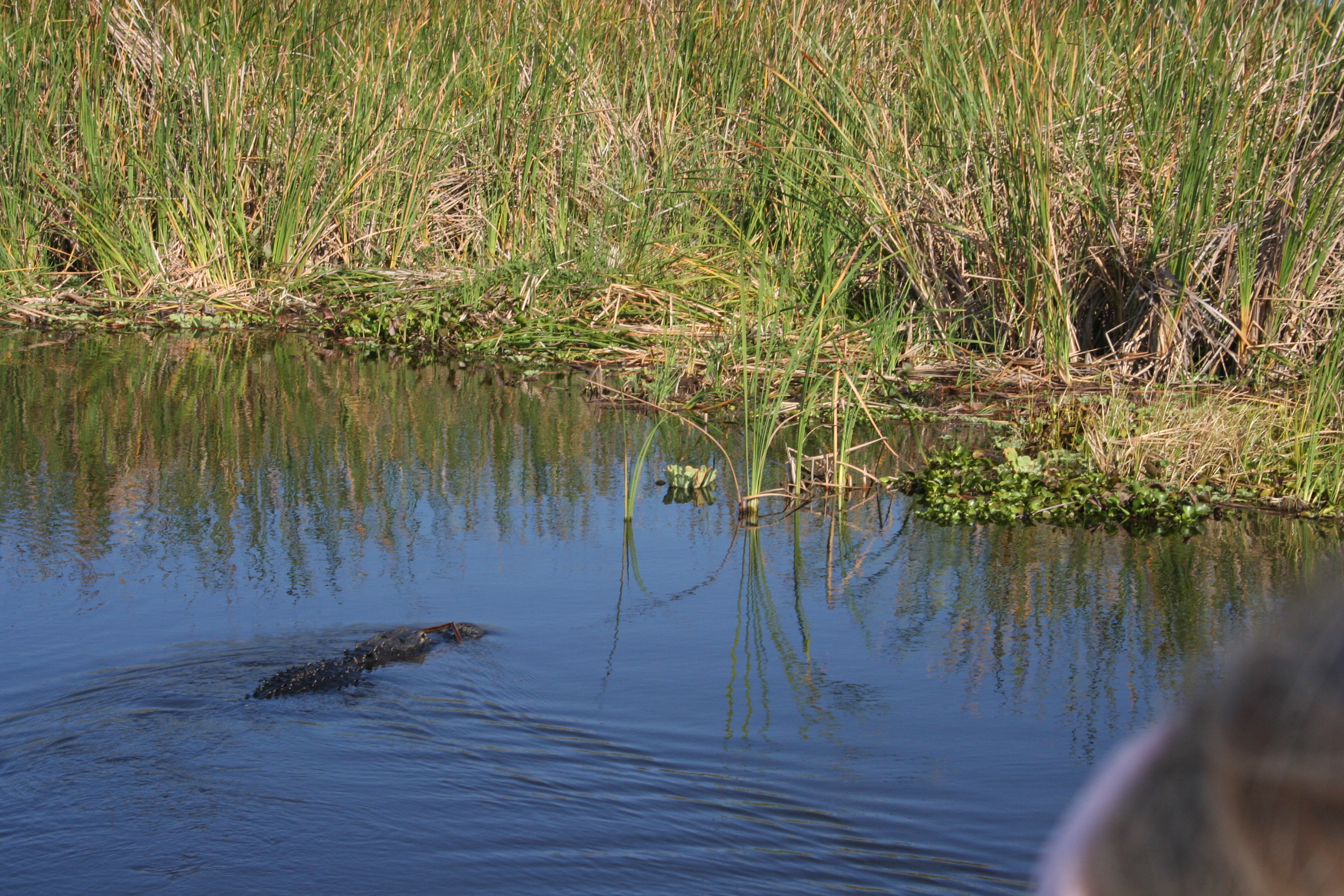 Landforms of the Southeast