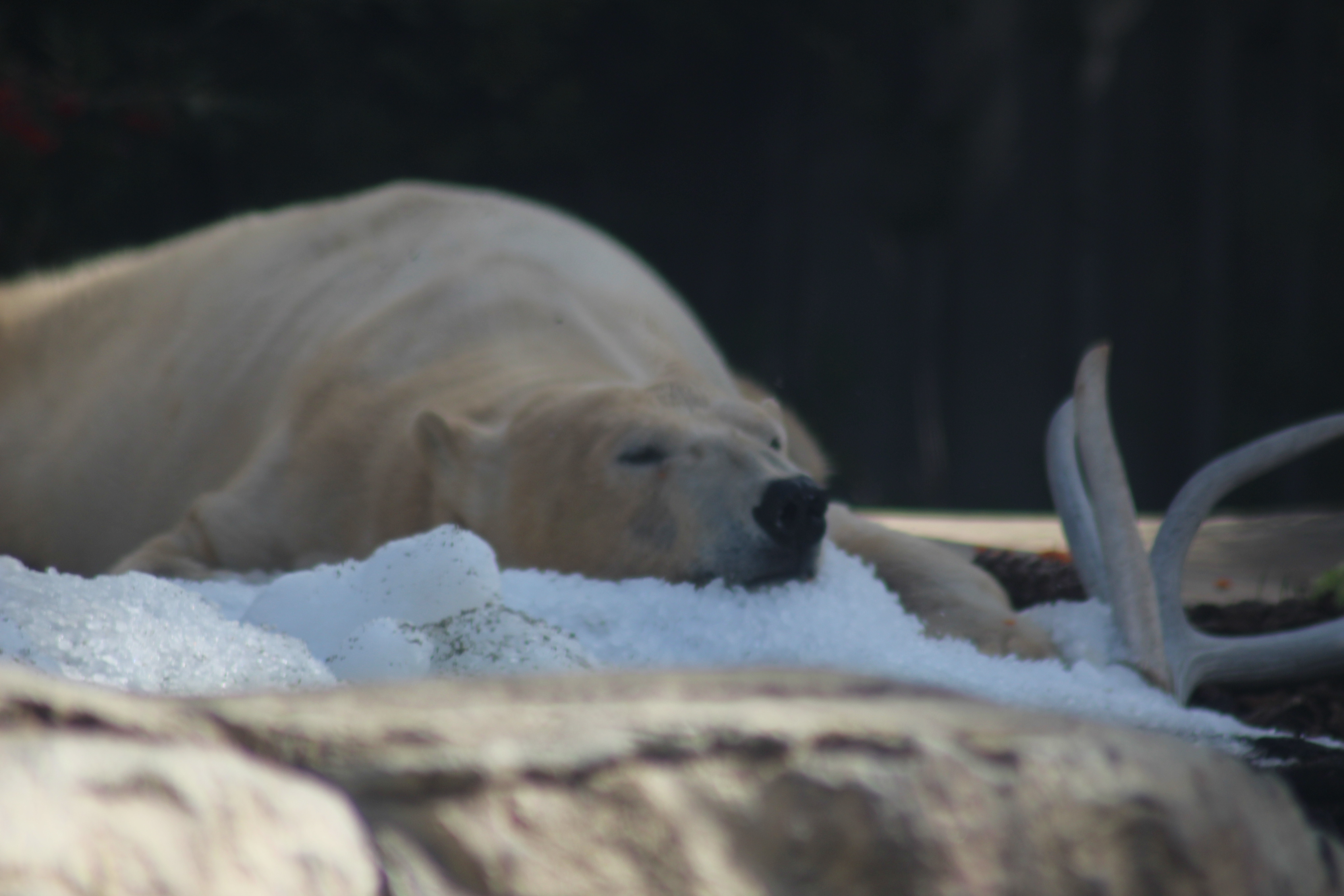 zoo Habitats