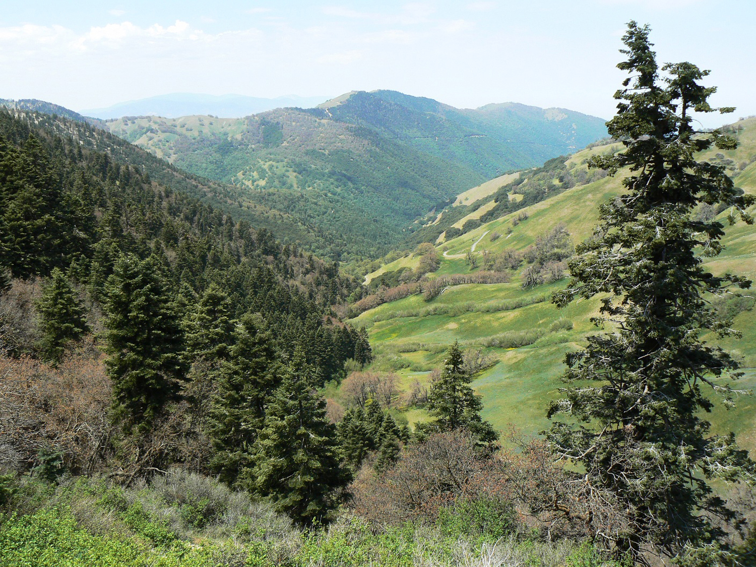 Tejon Ranch conservancy