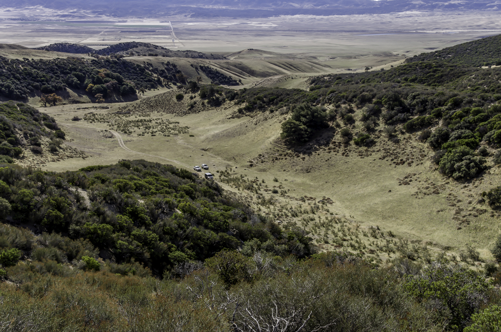 Tejon Ranch conservancy