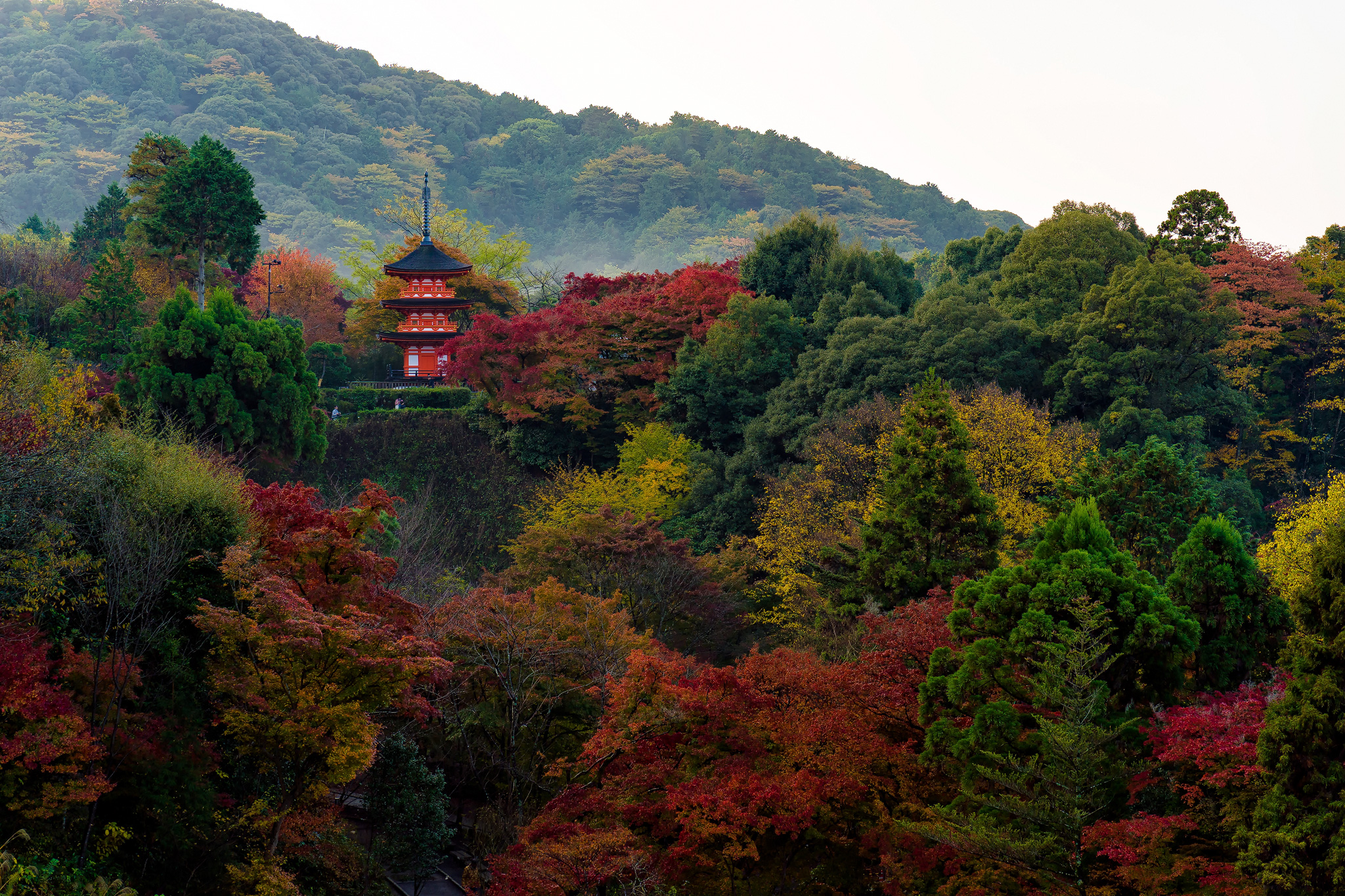 Autumn in Kansai