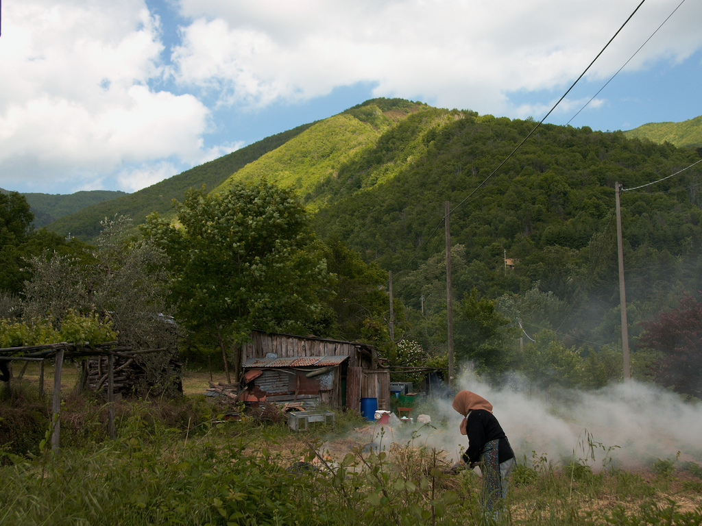 Terminating the Pesticide Treadmill