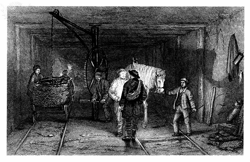 Coal