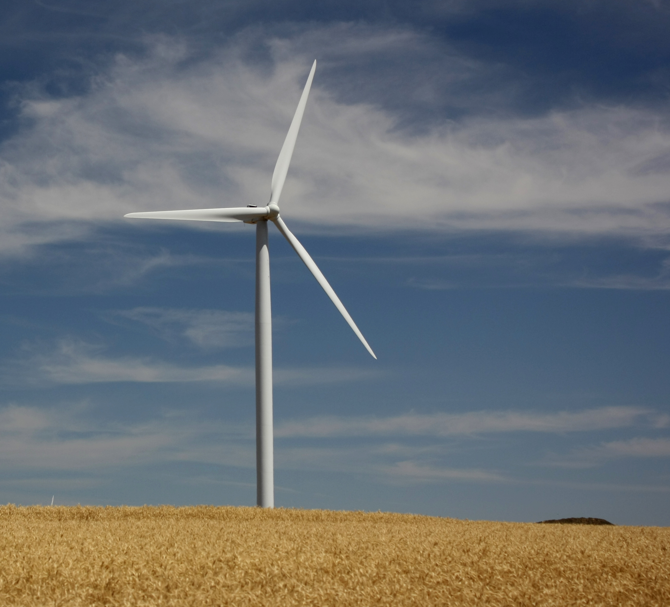 The Pros and Cons of Renewable Energy