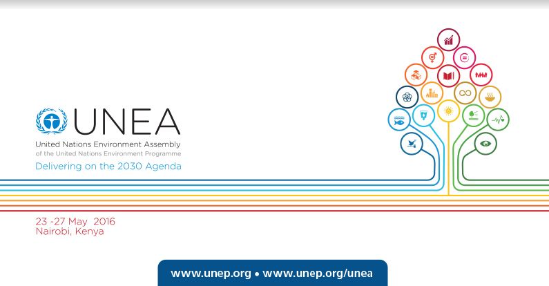 The Road To UNEA