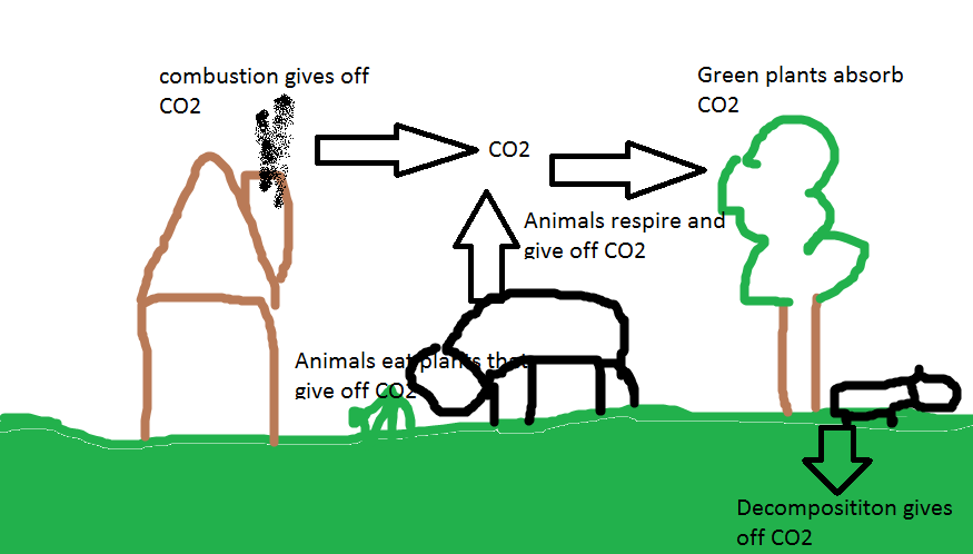 Biogeochemical Cycles