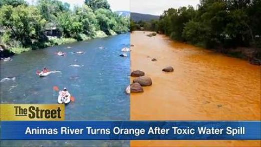 Alamosa River Poisoning