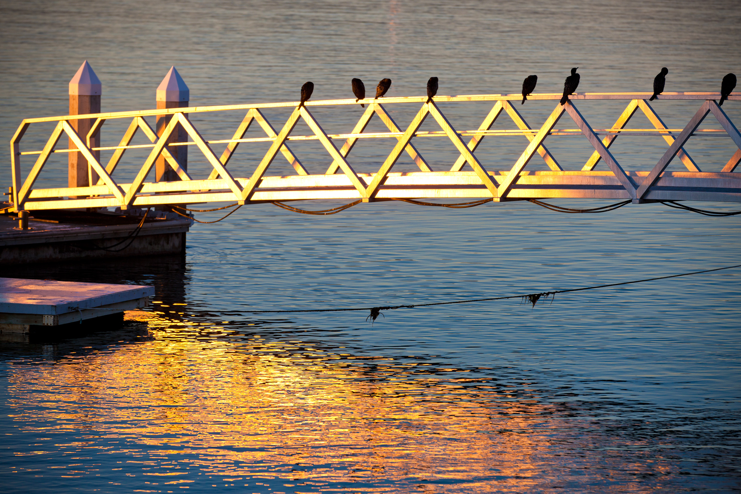 Trinity Wharf Tauranga