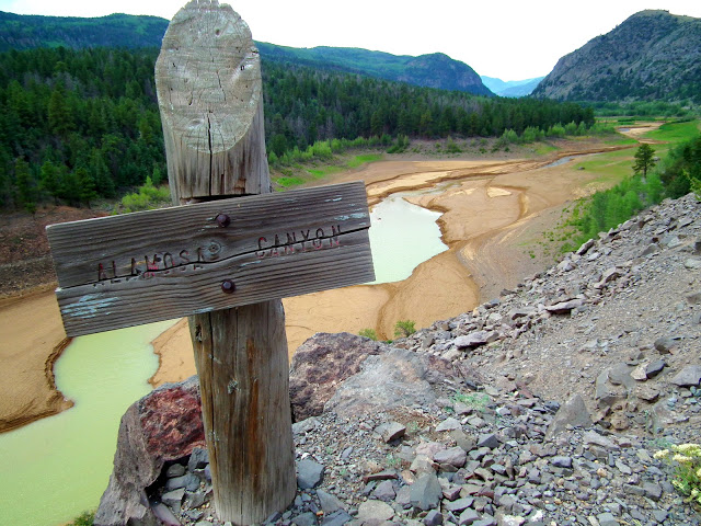 Alamosa River Treatment