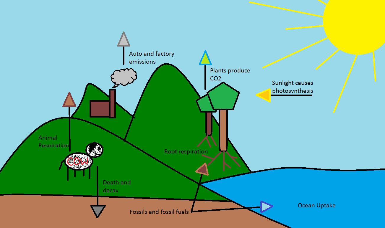 Biogeochemical Cycles