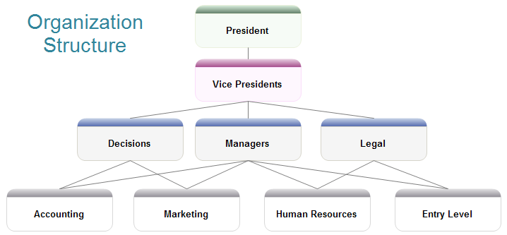 Company Structure and Job Roles