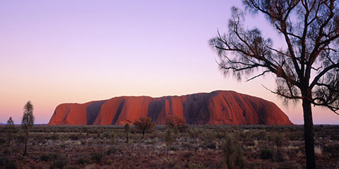 Management and Protection Strategies at Uluru