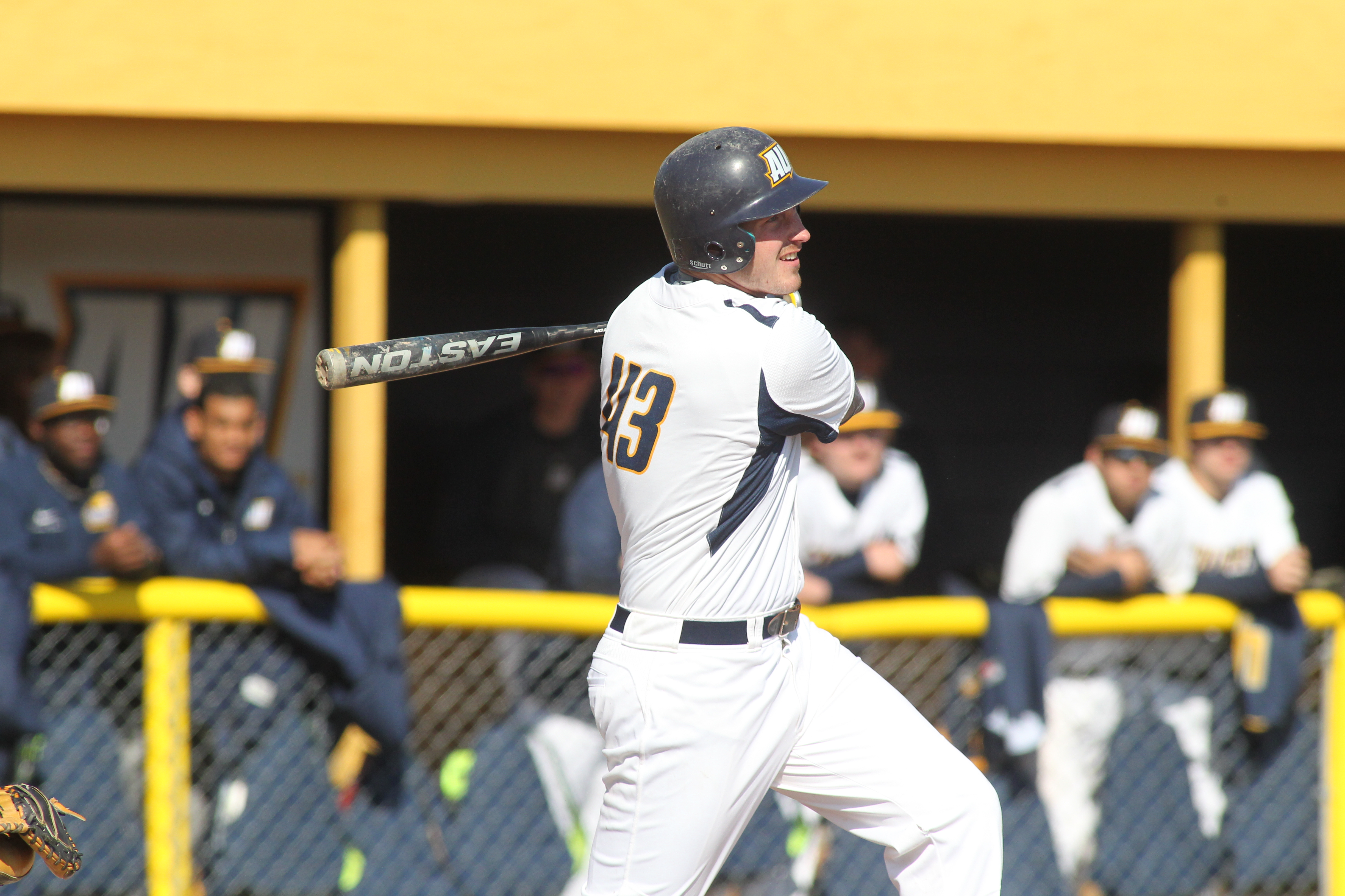 Averett University Baseball: 2016 In Review