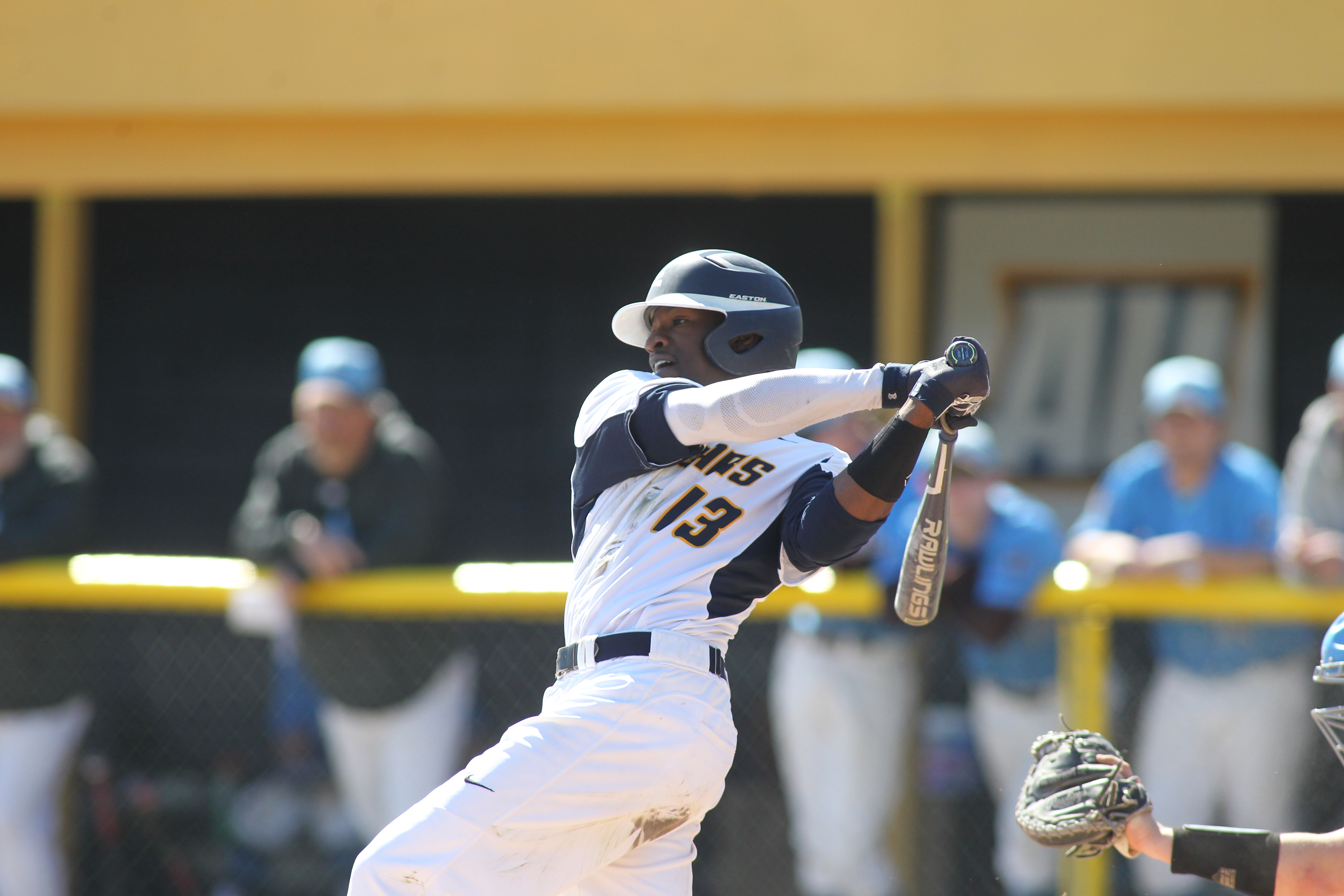 Averett University Baseball: 2016 In Review