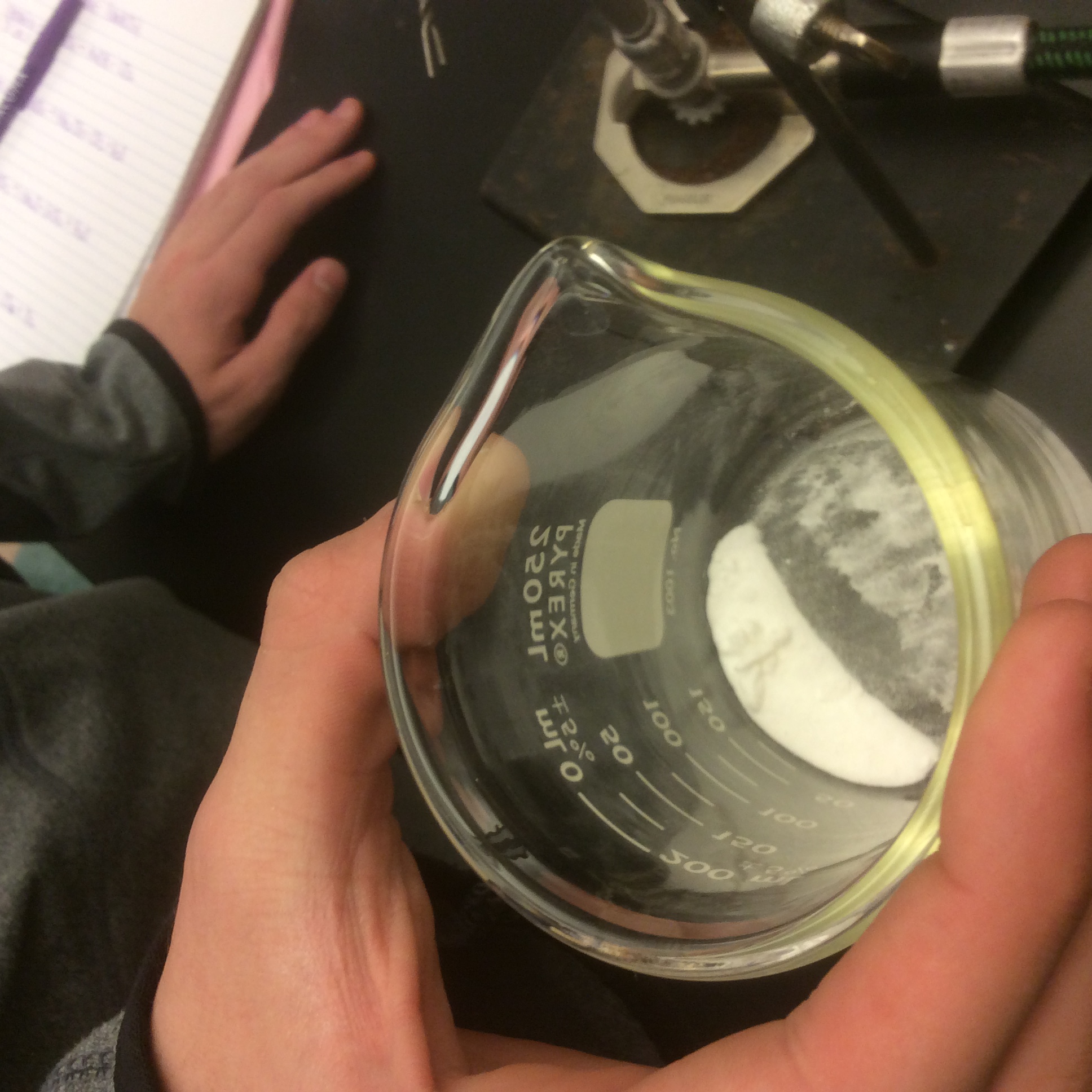 Sodium Bicarbonate lab