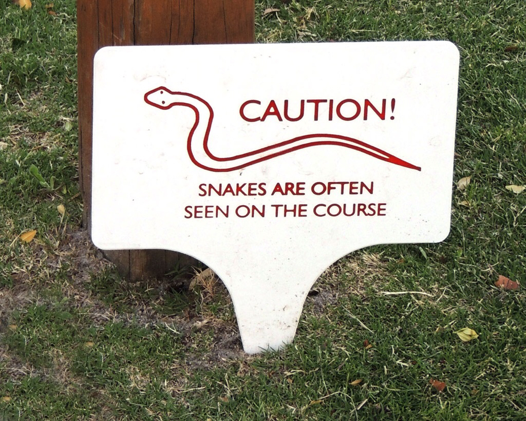 Save Kingswood - Danger Snakes in Kingswood Golf Course
