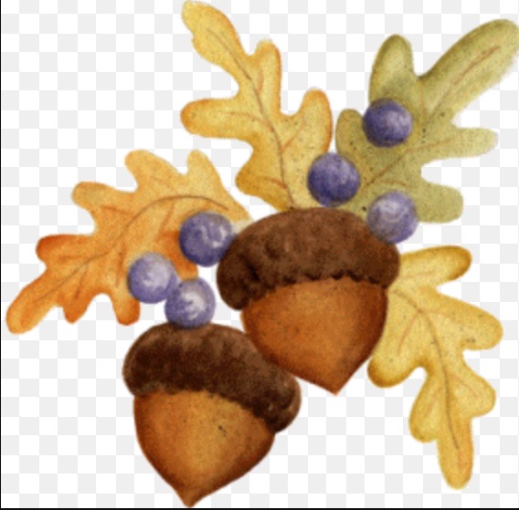 Mountain Maidu Tribe