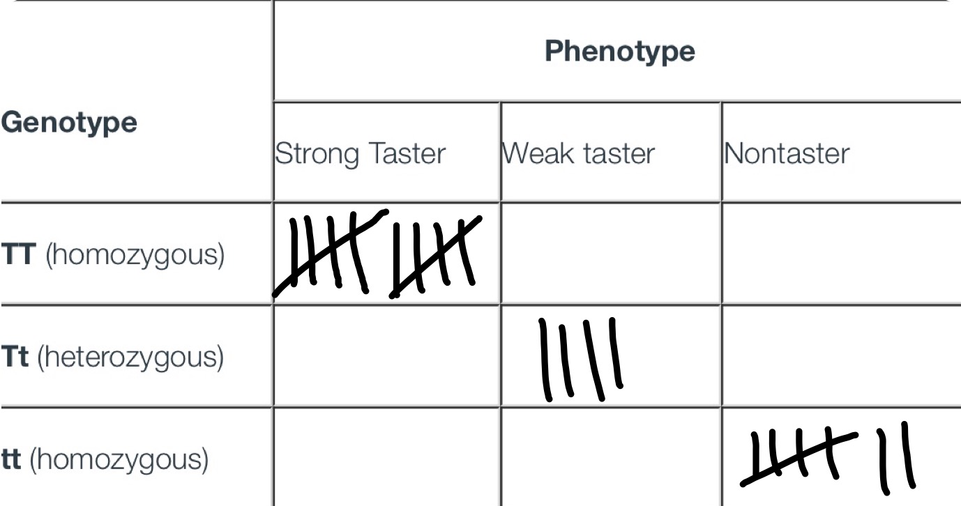 2.1.3 Test Your Own Genes