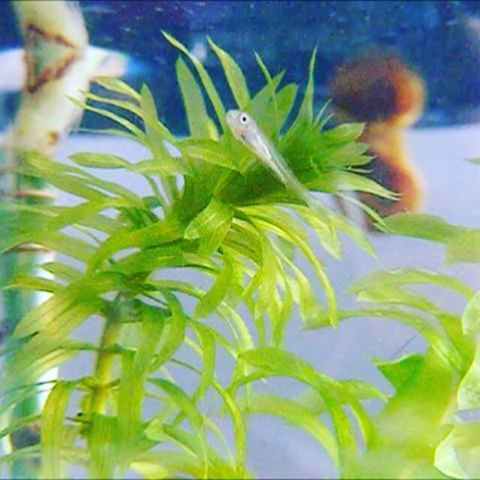 Eco-Bottle Lab Report