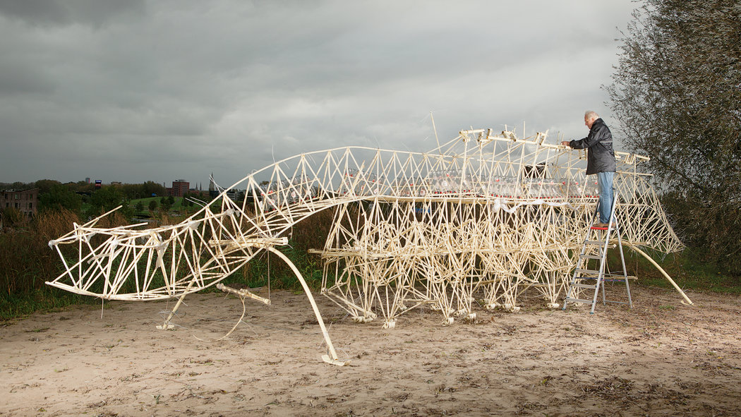 The Strand Beest 2016