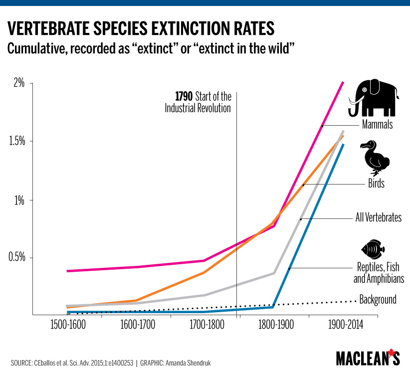 The Sixth Extinction