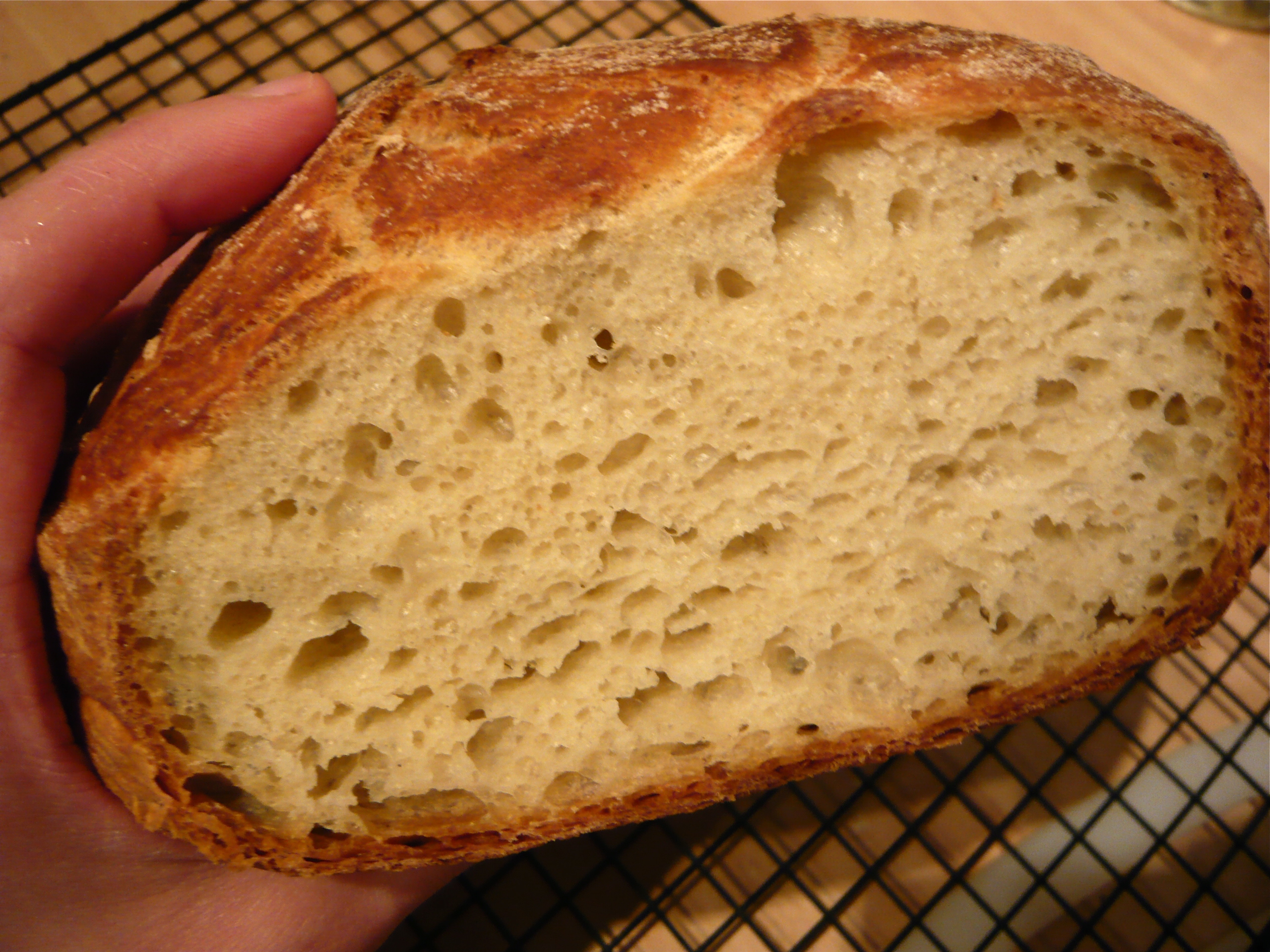 Yeast Breads