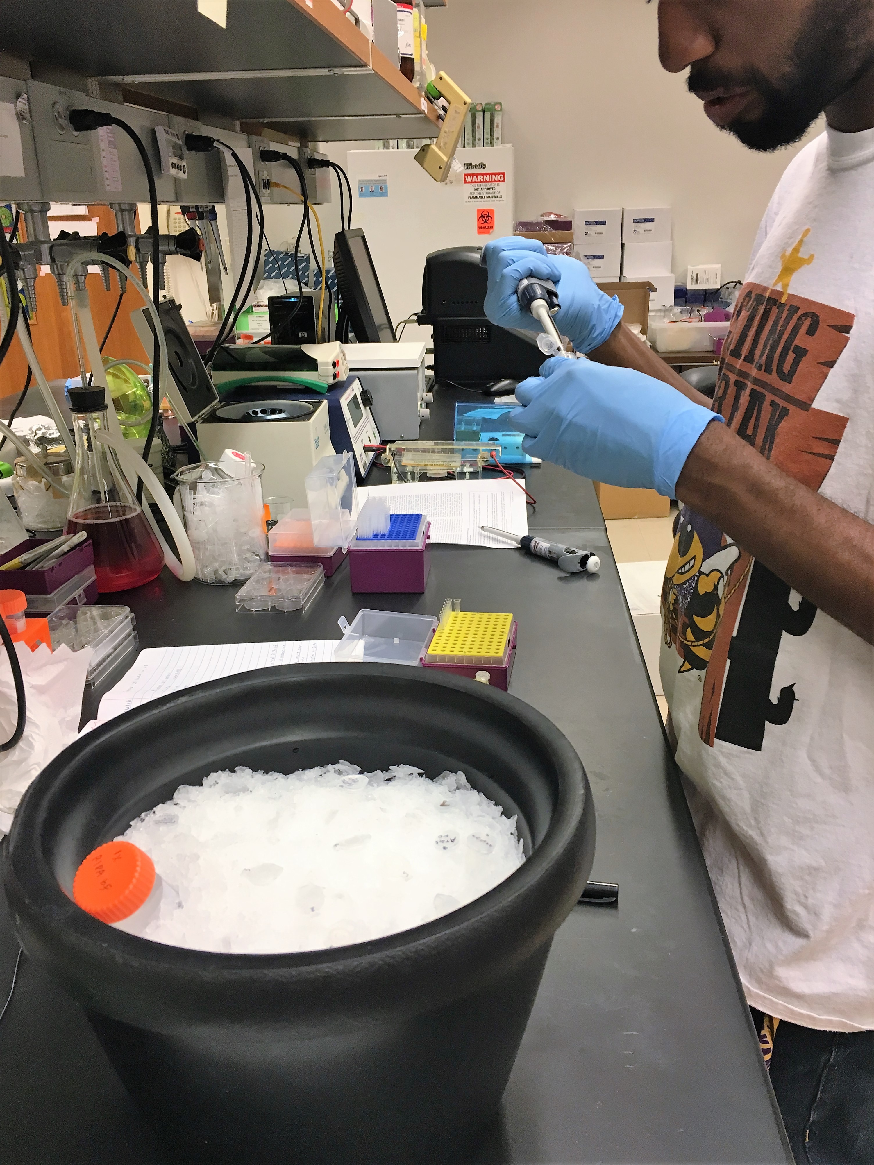 duke biomedical engineering internship