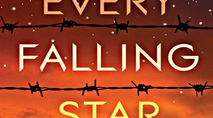 Every Falling Star